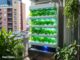 Maximizing Small Spaces: 7 Vertical Garden Techniques for Urban Dwellers